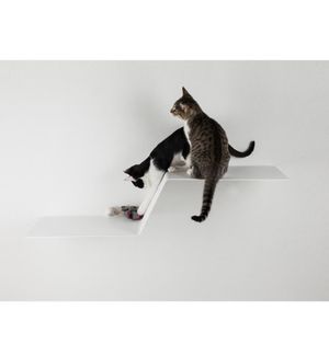 LucyBalu beweist, dass Katzenmöbel stilvoll sein können!