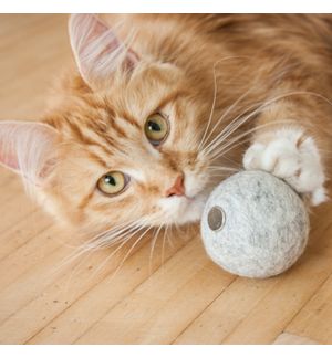 LucyBalu beweist, dass Katzenmöbel stilvoll sein können!