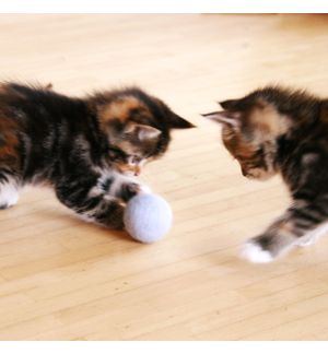 LucyBalu beweist, dass Katzenmöbel stilvoll sein können!