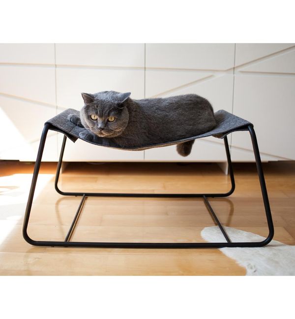 LucyBalu beweist, dass Katzenmöbel stilvoll sein können!